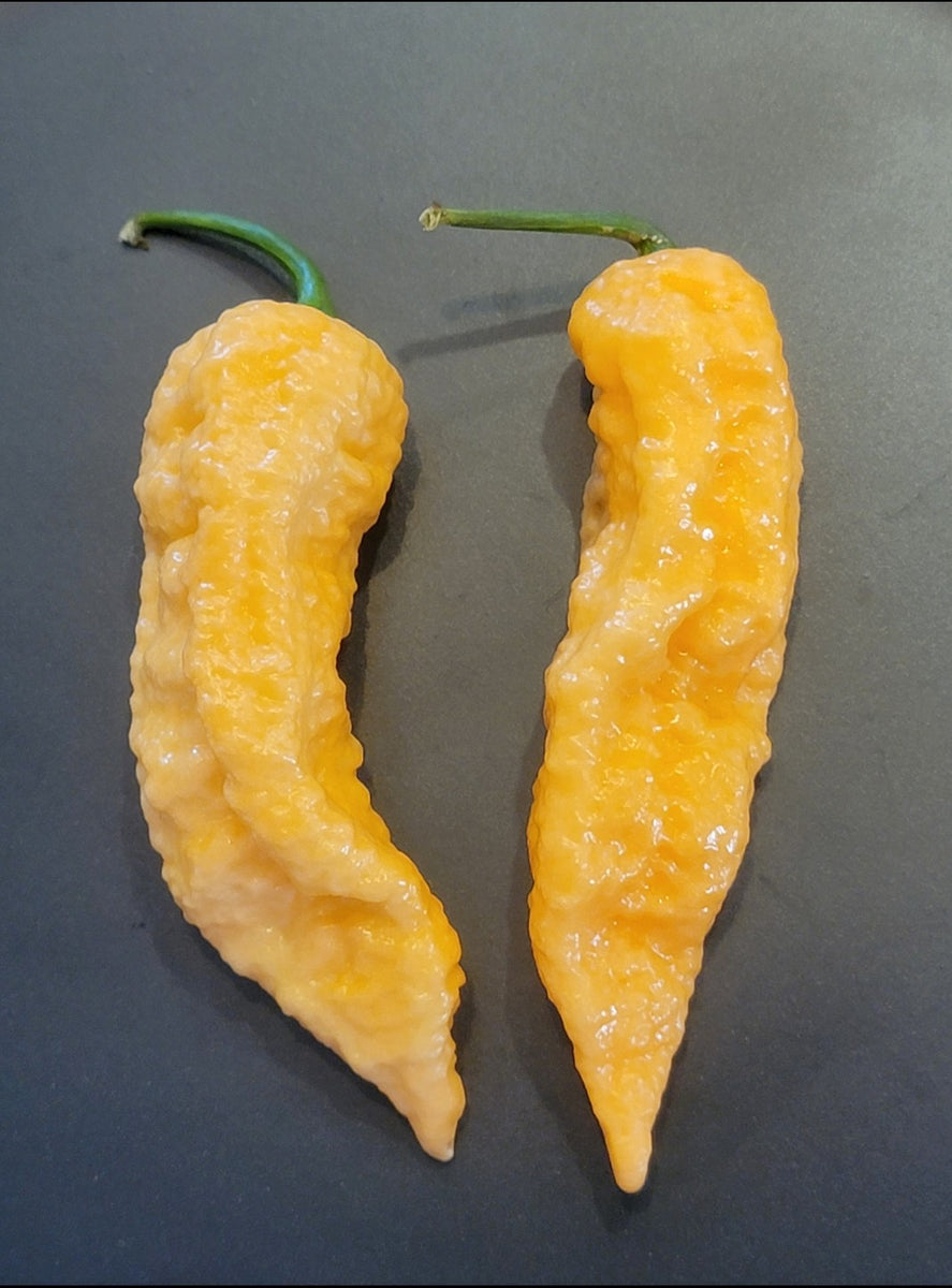 Peach Ghost Pepper 10 + isolated seeds – atomicpepperseeds
